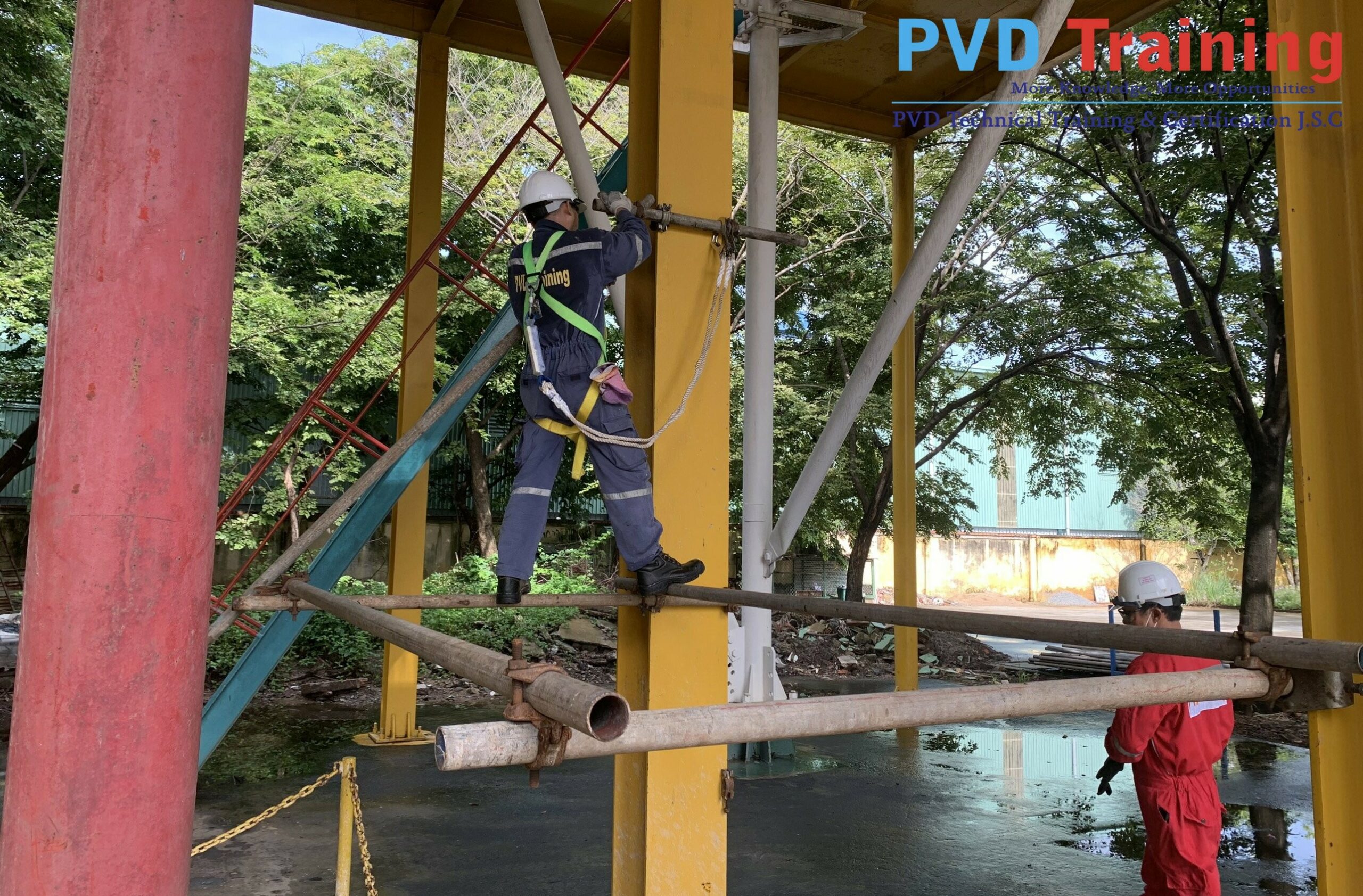 NEWS - PVD Training